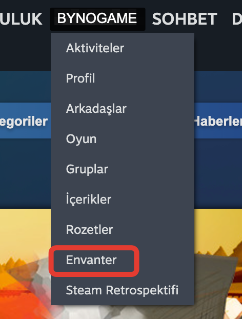 Steam Envanter Gizliliğini Aç - Güvenli | ByNoGame